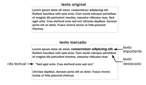 1 Texto - Desarrollo web